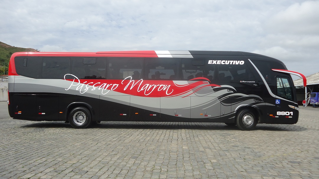 História | ônibus Passaro Marron