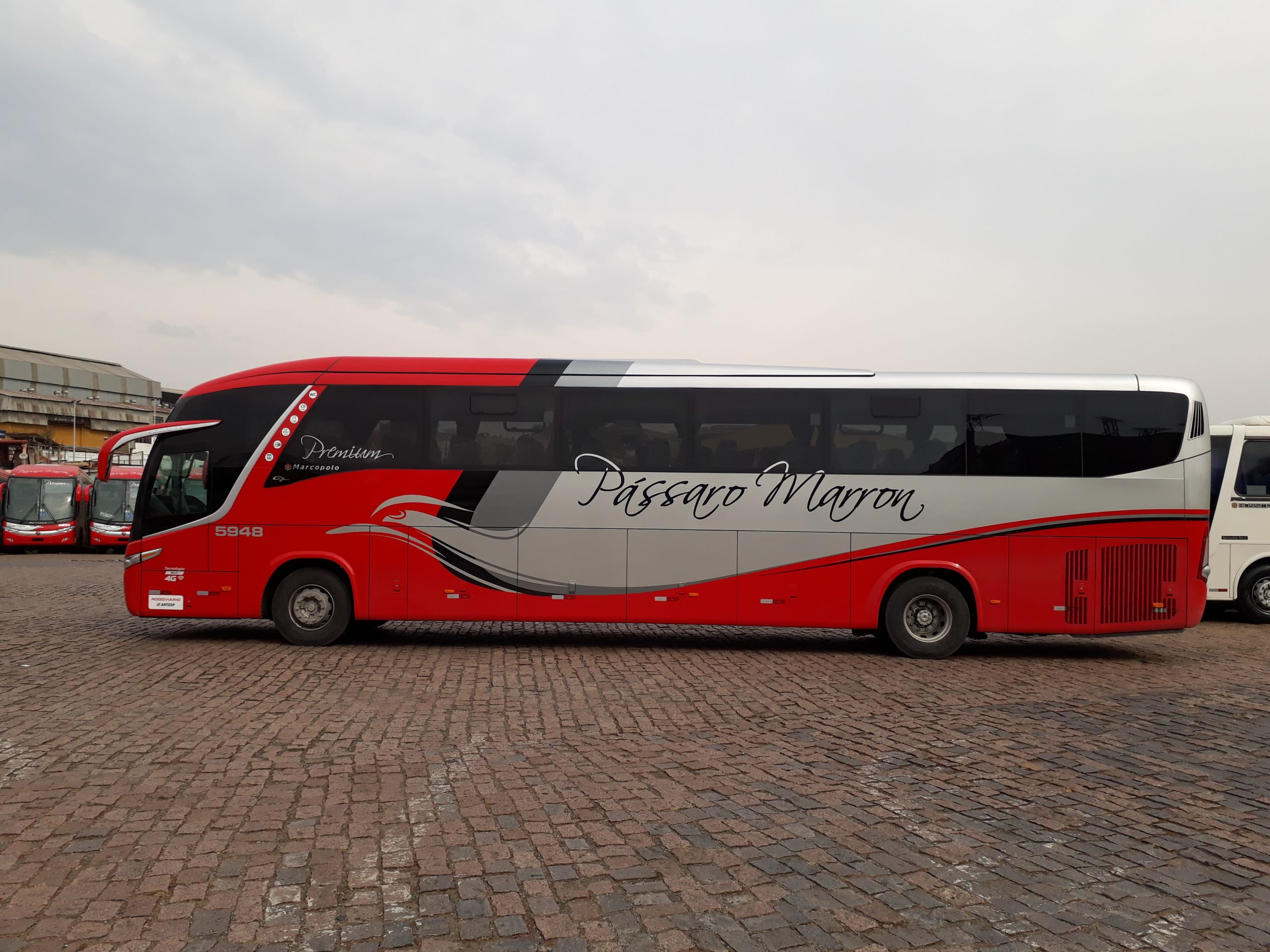 História | ônibus Passaro Marron