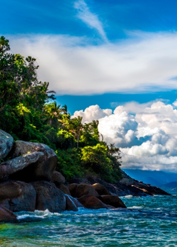 Passagens de Ônibus | Passaro Marron