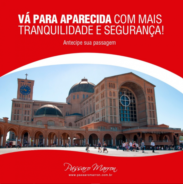 Passagens de Ônibus | Passaro Marron