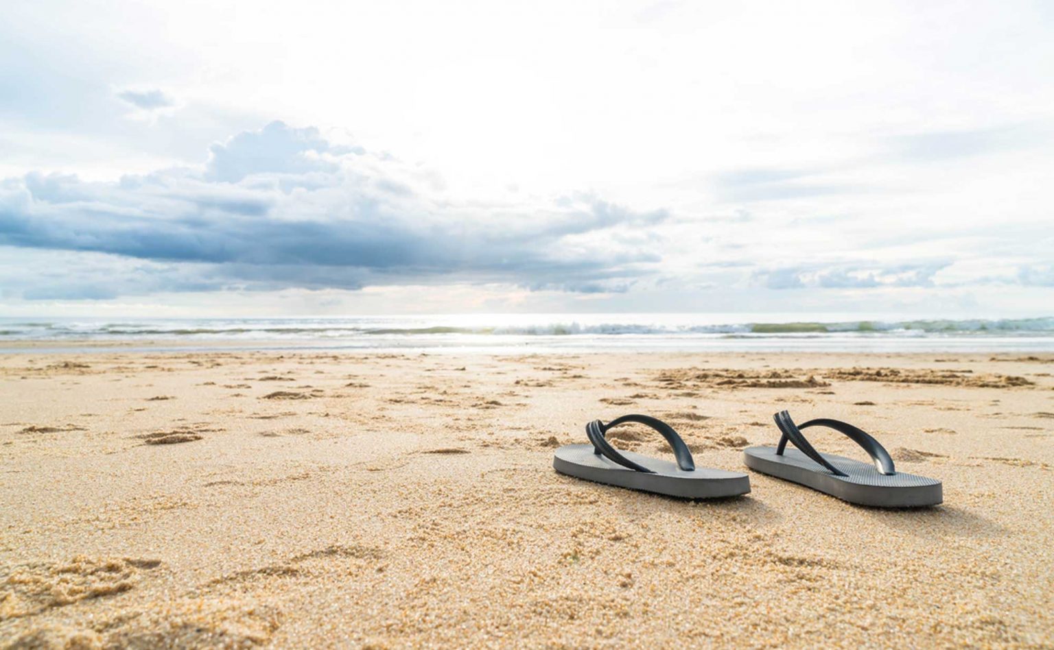 Pássaro Marron | Passagens de ônibus para os melhores destinos